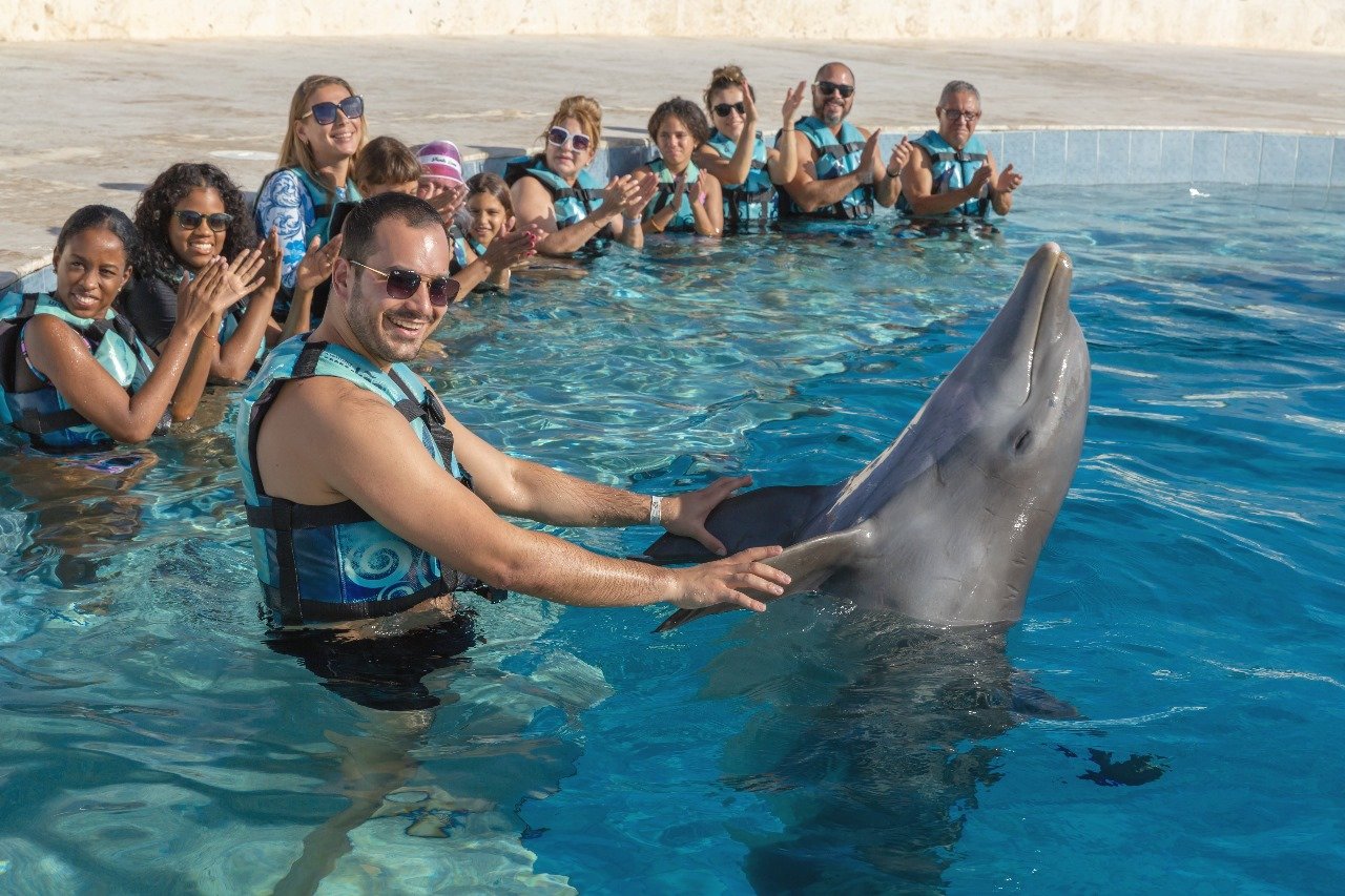 Nado con Delfines - livetravely.com